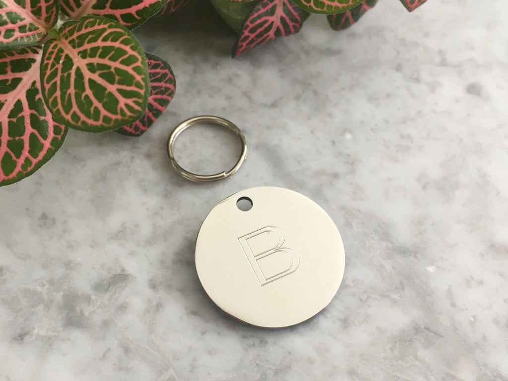 Initial Dog ID Tag in Luxury Silver Stainless Steel & Personalised ...